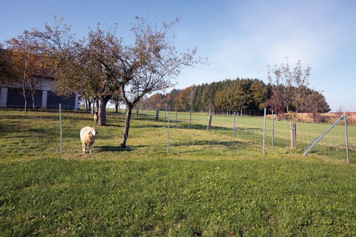 Weidezaun 50 m Set Taurus leicht - Höhe: 160 cm, inkl. 25 Pfosten ...
