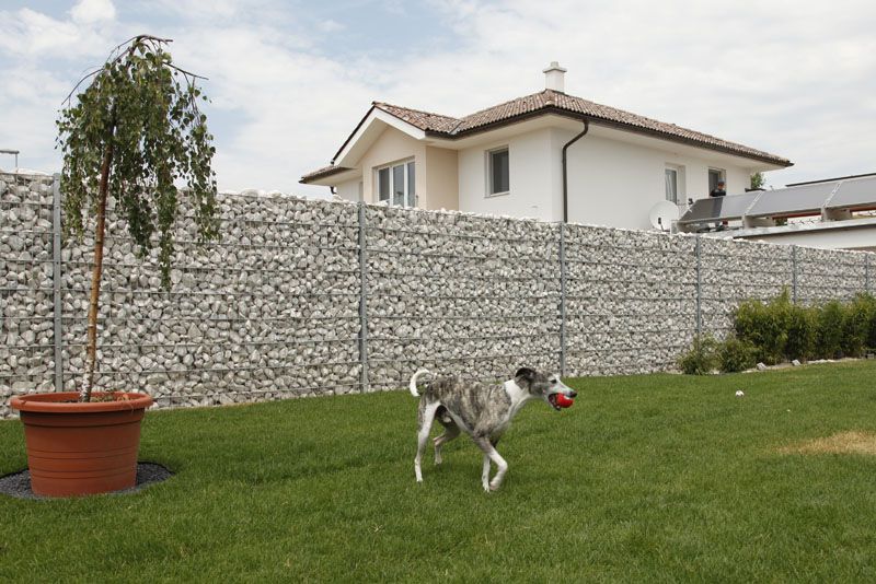 Gittermatten für Gabionenwand - Gittermatte: 6/5/6 mm, Höhe: 123 cm ...
