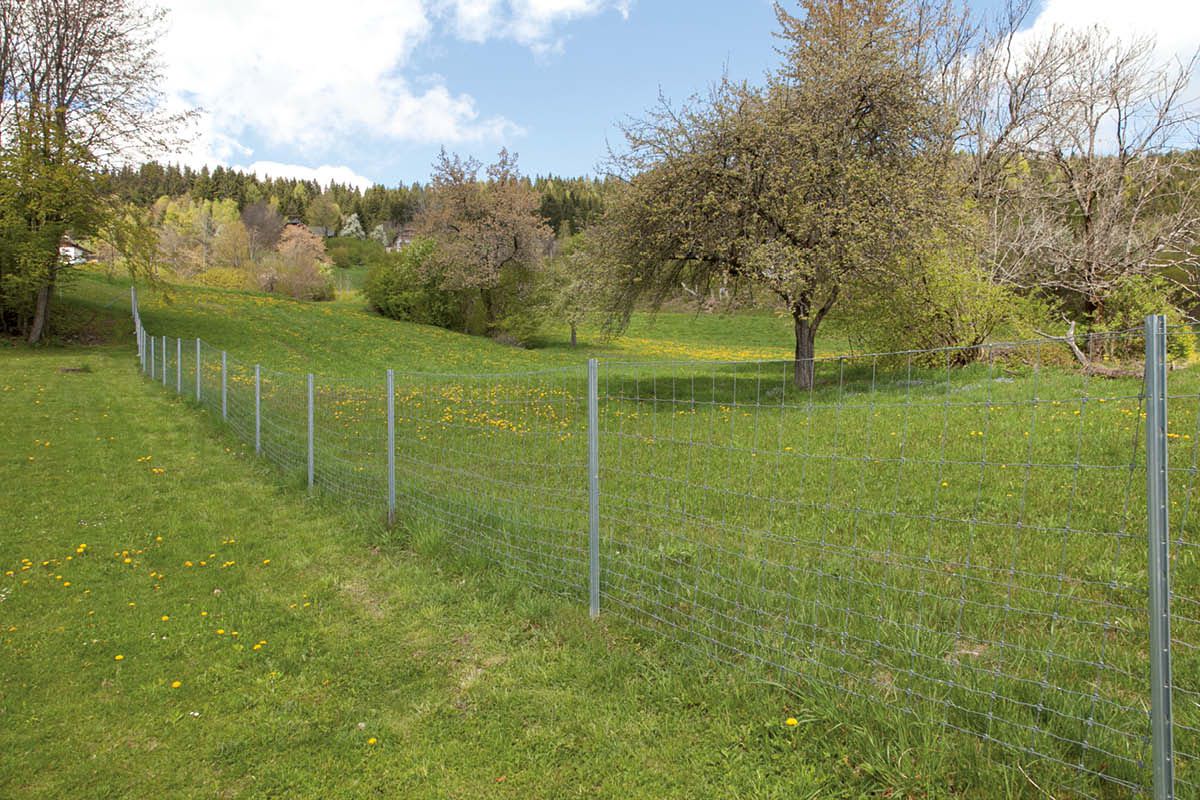 Weidezaun 50 m Set Taurus leicht - Höhe: 200 cm, inkl. 25 Z-Pfosten ...